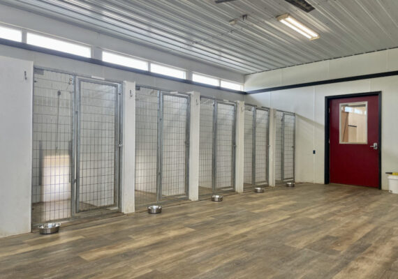 Happy Tails Dog Boarding and Daycare